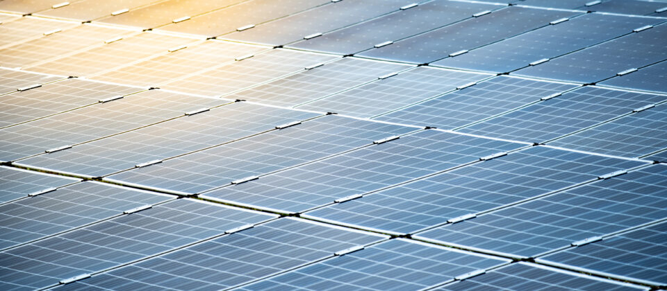 Statement of Yuri Horwitz on Inflation Reduction Act Passage