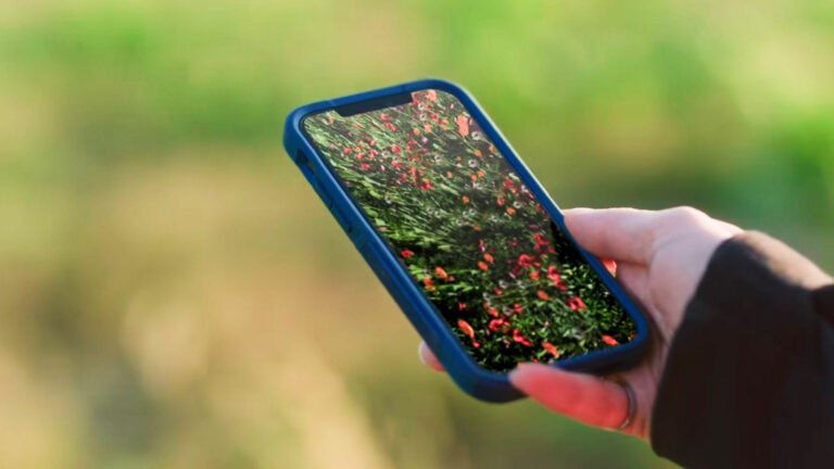 Sol Systems Launches Innovative Solar and Sustainable Agriculture ...