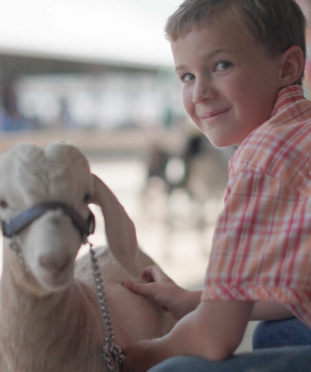 The Sol Purpose - Sol Systems