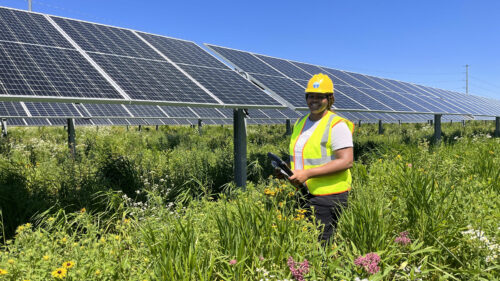 Insights - Sol Systems